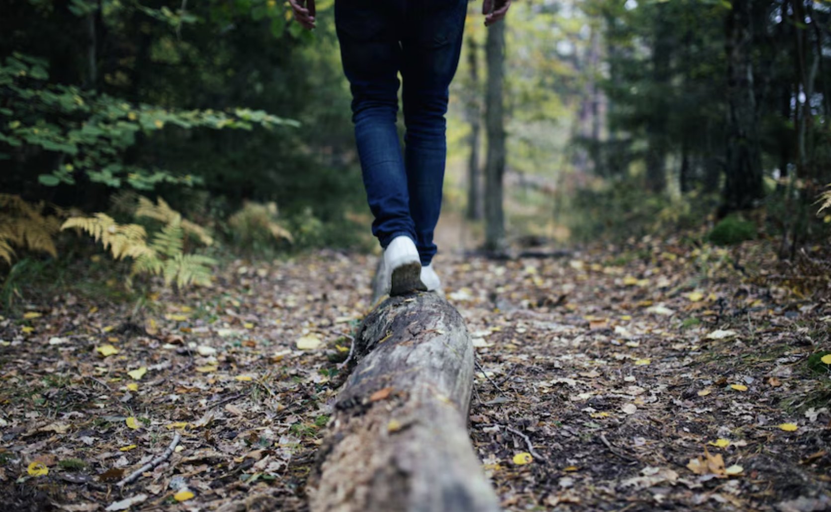April Wellness Focus: Micro-Moments of Calm — Small Habits That Make a ...
